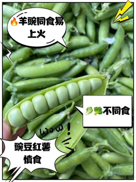 豌豆不能和什么一起吃_豌豆相克食物有哪些-第1张图片-山城妙识