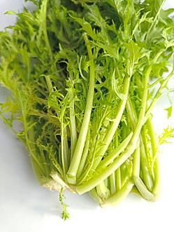 雪菜图片高清_雪菜长什么样-第2张图片-山城妙识 雪菜图片高清_雪菜长什么样-第2张图片-山城妙识