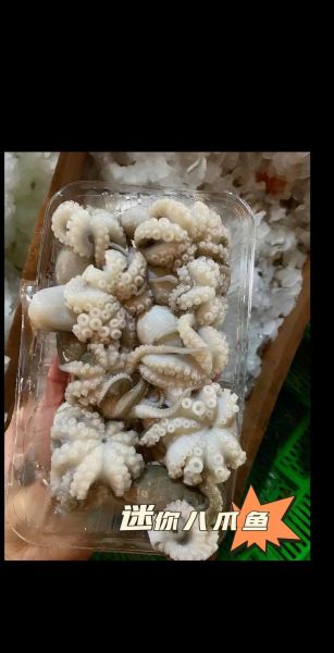 新鲜八爪鱼怎么清洗_八爪鱼清洗内脏技巧-第2张图片-山城妙识