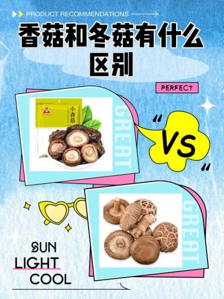 冬菇和香菇的区别_哪个更好吃-第1张图片-山城妙识
