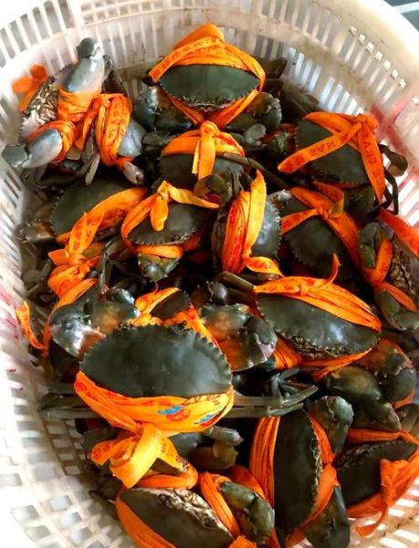 青蟹为什么不能蒸着吃_蒸青蟹的正确做法-第2张图片-山城妙识