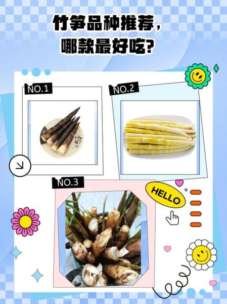 笋的种类有哪些_笋的图片大全怎么认-第3张图片-山城妙识 笋的种类有哪些_笋的图片大全怎么认-第3张图片-山城妙识
