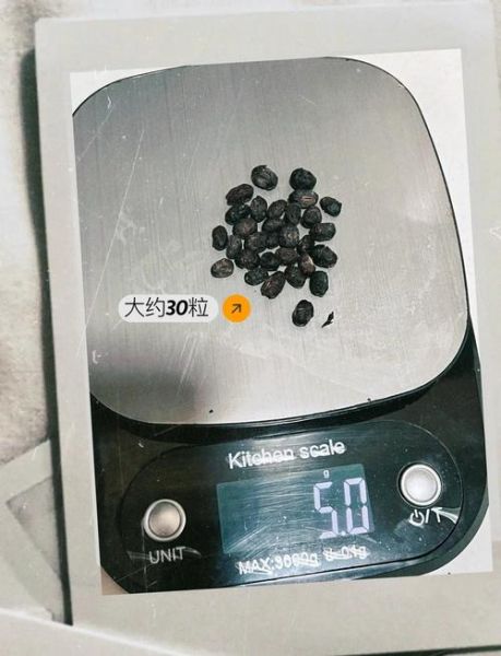 淡豆豉葱白水怎么做_淡豆豉葱白水适合什么人喝-第1张图片-山城妙识