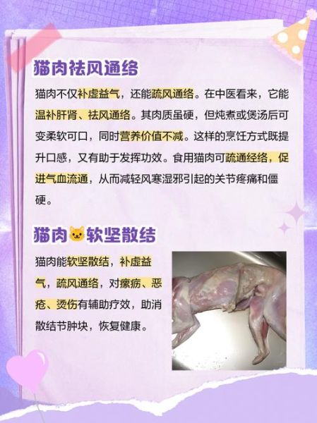 吃猫肉有什么好处_吃猫肉有什么坏处-第1张图片-山城妙识