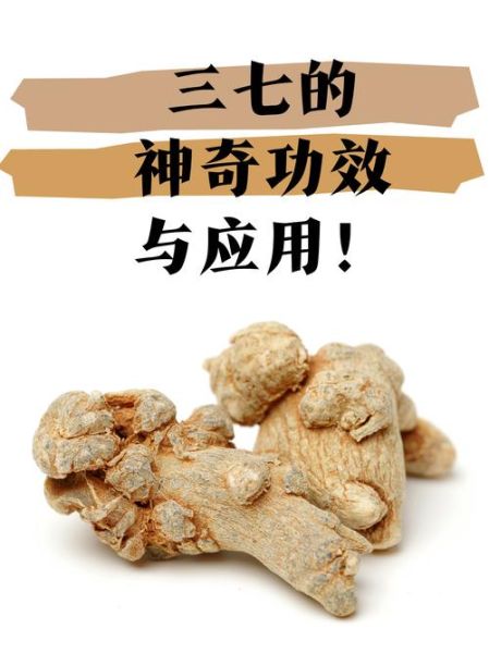三七的功效与作用有哪些_三七的正确吃法是什么-第2张图片-山城妙识 三七的功效与作用有哪些_三七的正确吃法是什么-第2张图片-山城妙识