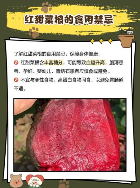 甜菜红是什么_甜菜红的作用与功效-第1张图片-山城妙识