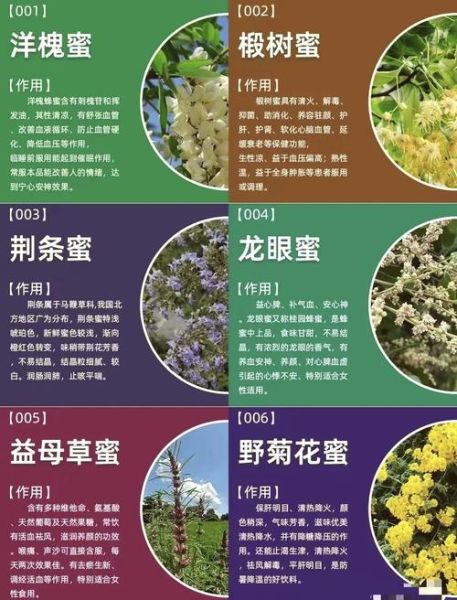 槐花蜜的功效与作用_槐花蜜适合什么人吃-第2张图片-山城妙识