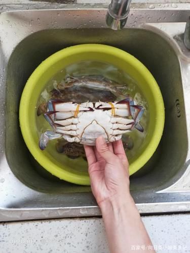 梭子蟹怎么清洗_螃蟹怎么洗干净-第2张图片-山城妙识