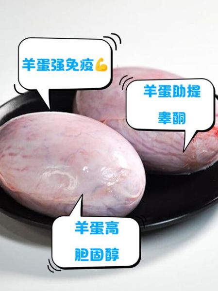 羊蛋的功效与作用禁忌_什么人不能吃羊蛋-第3张图片-山城妙识