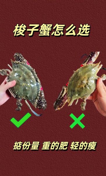 梭子蟹怎么清洗_螃蟹怎么洗干净-第3张图片-山城妙识