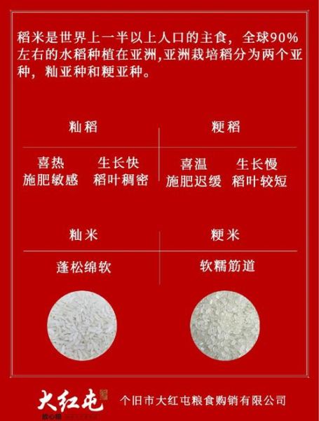 籼米和粳米有什么区别_哪个更好吃-第2张图片-山城妙识