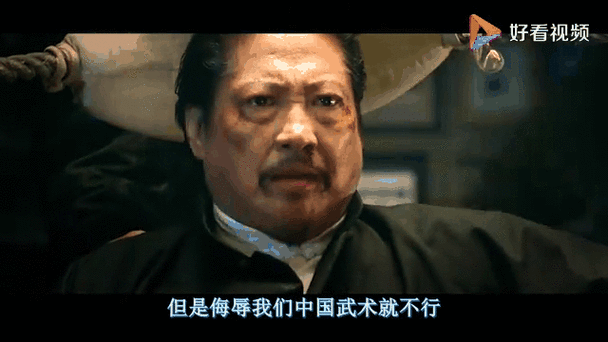 叶问2粤语版哪里看_叶问2粤语台词对白-第2张图片-山城妙识