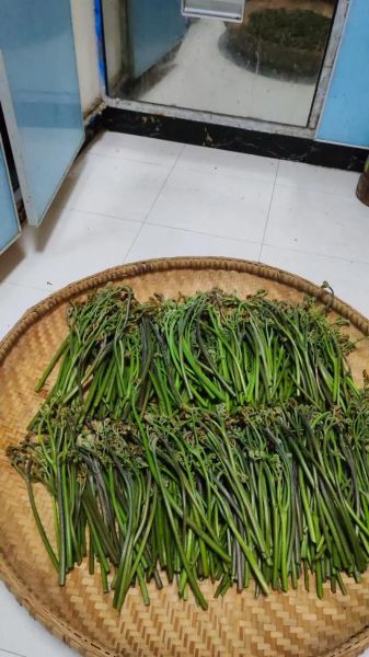 干蕨菜禁忌_哪些人不能吃干蕨菜-第3张图片-山城妙识 干蕨菜禁忌_哪些人不能吃干蕨菜-第3张图片-山城妙识