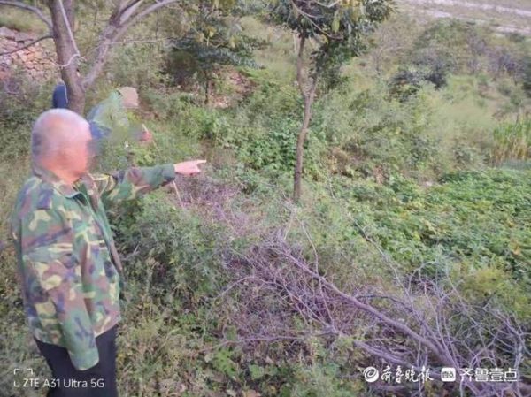 玉米地挖出250万现金_怎么处理-第1张图片-山城妙识 玉米地挖出250万现金_怎么处理-第1张图片-山城妙识