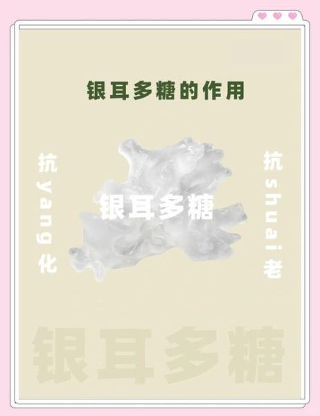 银耳多糖对皮肤的功效_银耳多糖在化妆品中的作用-第2张图片-山城妙识 银耳多糖对皮肤的功效_银耳多糖在化妆品中的作用-第2张图片-山城妙识