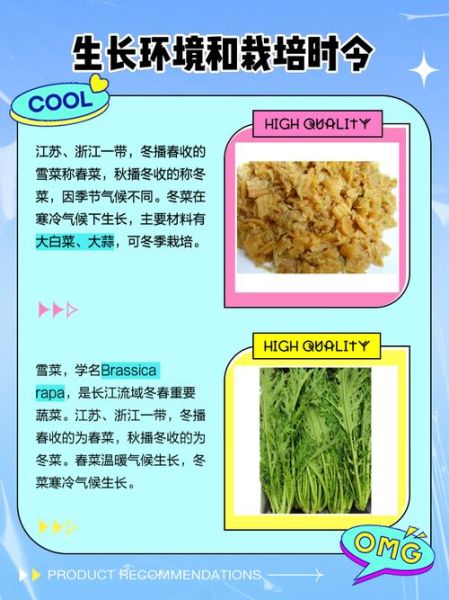 雪菜是什么菜_雪菜和梅干菜的区别-第3张图片-山城妙识 雪菜是什么菜_雪菜和梅干菜的区别-第3张图片-山城妙识