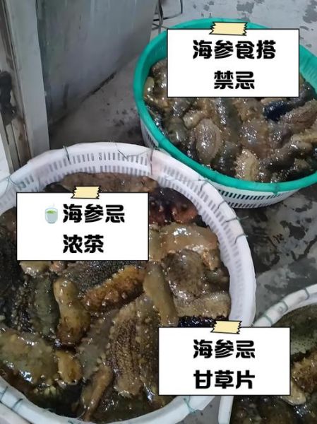 海参不能和什么一起吃_海参相克食物大全-第1张图片-山城妙识