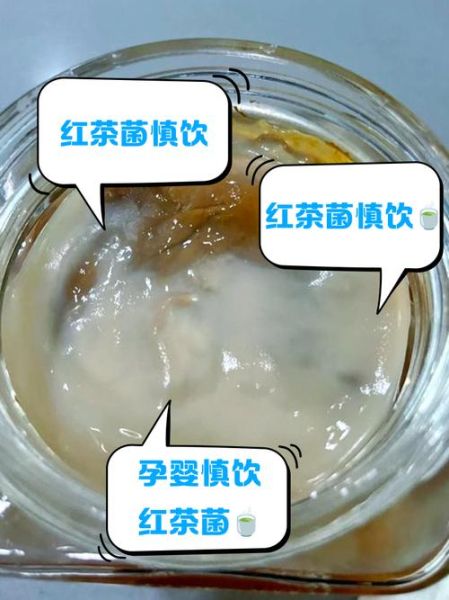 红茶菌的危害_长期饮用有哪些副作用-第2张图片-山城妙识 红茶菌的危害_长期饮用有哪些副作用-第2张图片-山城妙识