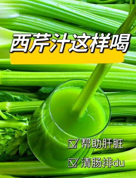 芹菜汁生喝副作用_空腹喝芹菜汁安全吗-第3张图片-山城妙识 芹菜汁生喝副作用_空腹喝芹菜汁安全吗-第3张图片-山城妙识
