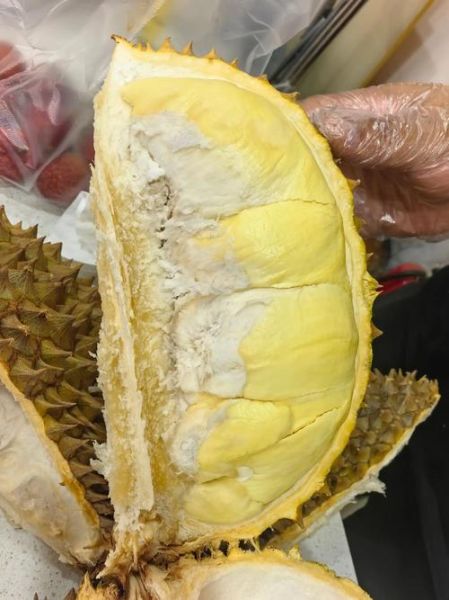 榴莲下载官网在哪_榴莲下载安全吗-第1张图片-山城妙识 榴莲下载官网在哪_榴莲下载安全吗-第1张图片-山城妙识