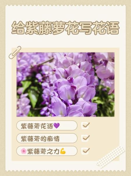 紫藤花的花语是什么_紫藤花适合送什么人-第1张图片-山城妙识