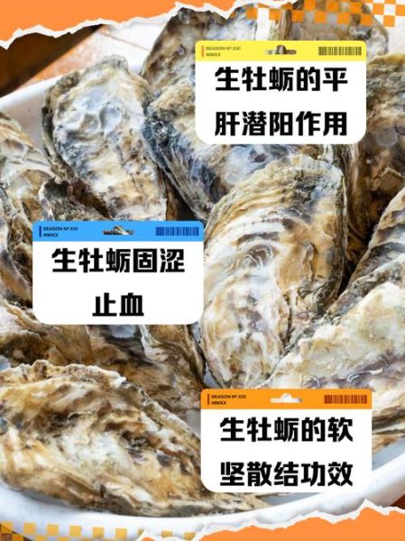 牡蛎有什么功效与作用_牡蛎主治哪些疾病-第2张图片-山城妙识