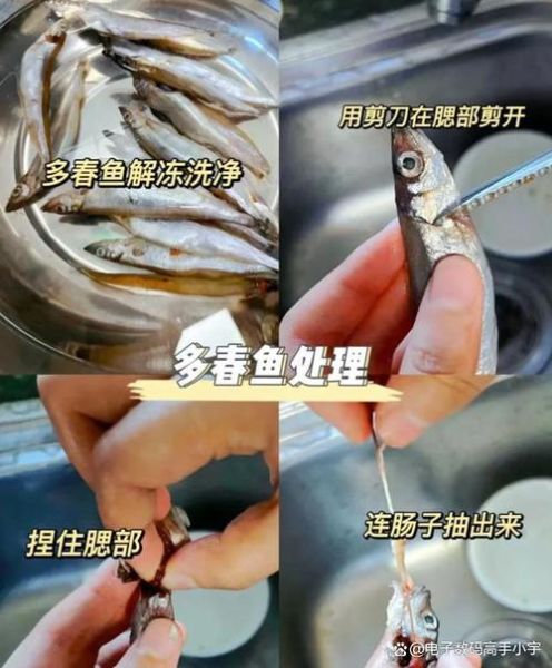 多春鱼怎么去内脏_多春鱼清理图解-第1张图片-山城妙识 多春鱼怎么去内脏_多春鱼清理图解-第1张图片-山城妙识