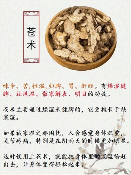 湿气很重_苍术还是白术-第1张图片-山城妙识