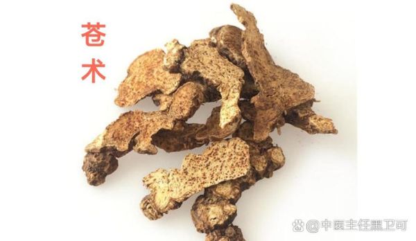 湿气很重_苍术还是白术-第2张图片-山城妙识