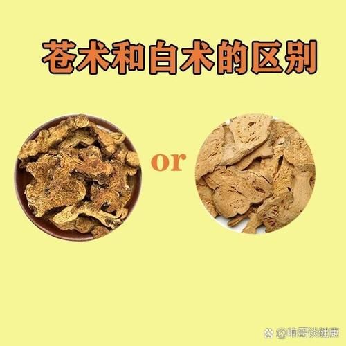 湿气很重_苍术还是白术-第3张图片-山城妙识