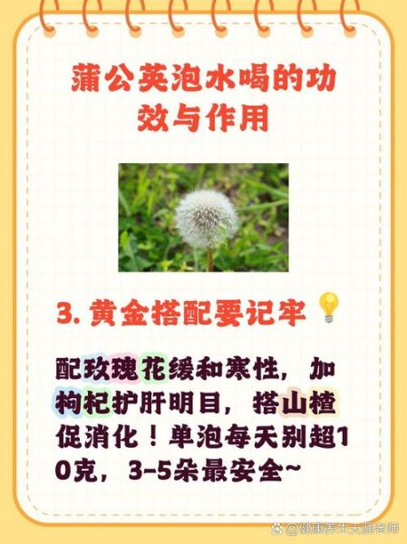 蒲公英配什么去掉寒性_蒲公英寒性怎么中和-第2张图片-山城妙识