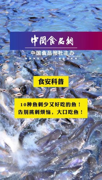 什么鱼没有刺_适合宝宝吃的无刺鱼推荐-第3张图片-山城妙识