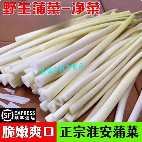 蒲笋是蒲草的什么部位_蒲笋和蒲菜区别在哪-第2张图片-山城妙识