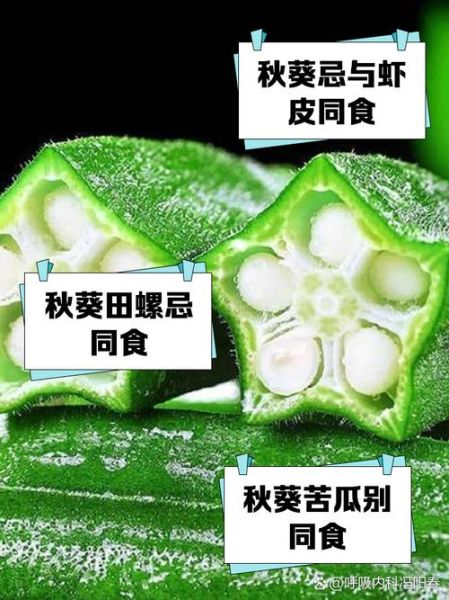 秋葵生吃会中毒吗_秋葵生吃安全吗-第3张图片-山城妙识