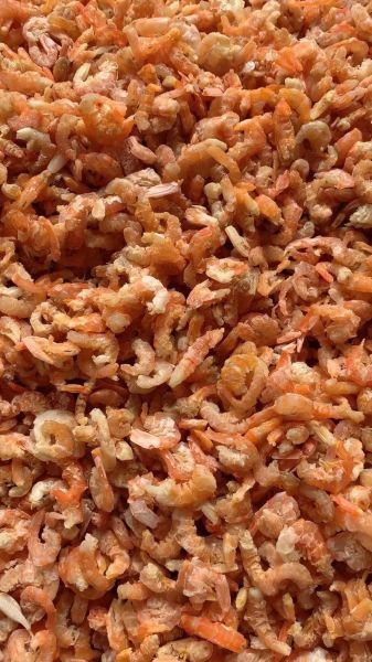 虾米是什么意思_虾米是什么东西-第2张图片-山城妙识 虾米是什么意思_虾米是什么东西-第2张图片-山城妙识