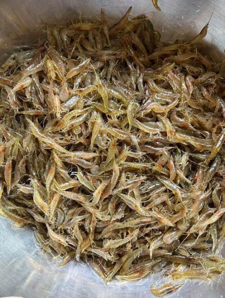 虾米是什么意思_虾米是什么东西-第1张图片-山城妙识 虾米是什么意思_虾米是什么东西-第1张图片-山城妙识