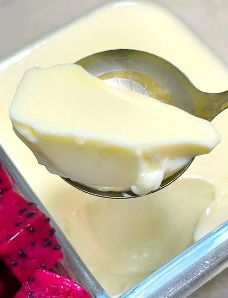 鸡蛋酸奶布丁怎么做_鸡蛋酸奶布丁要烤多久-第1张图片-山城妙识