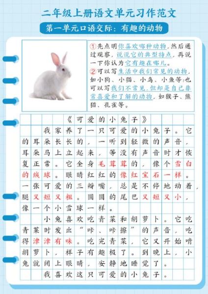 兔子怎么读拼音_兔子拼音声调怎么标-第3张图片-山城妙识 兔子怎么读拼音_兔子拼音声调怎么标-第3张图片-山城妙识