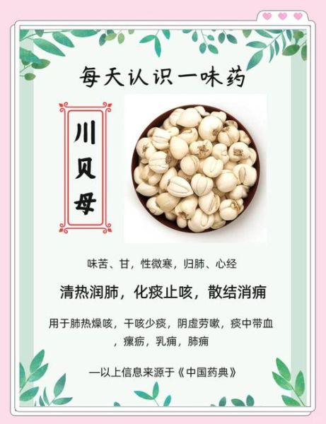 川贝母孕妇可以吃吗_孕妇川贝母安全吃法-第1张图片-山城妙识 川贝母孕妇可以吃吗_孕妇川贝母安全吃法-第1张图片-山城妙识