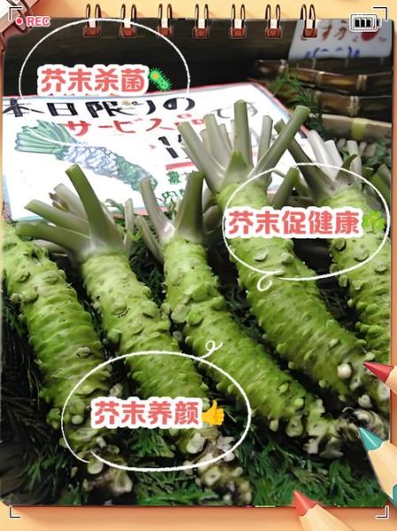 芥末是什么做的_芥末原料有哪些-第1张图片-山城妙识 芥末是什么做的_芥末原料有哪些-第1张图片-山城妙识