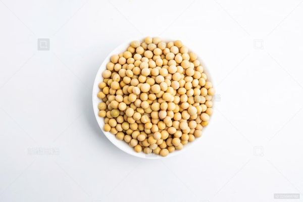 大豆图片素材哪里找_如何挑选高清无版权图-第3张图片-山城妙识