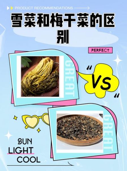 梅干菜和雪菜的区别_哪个更适合炖肉-第1张图片-山城妙识