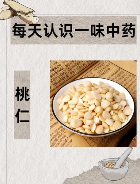 桃仁可以吃吗_芭芭农场桃仁安全指南-第2张图片-山城妙识 桃仁可以吃吗_芭芭农场桃仁安全指南-第2张图片-山城妙识