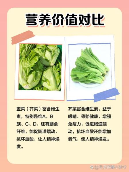 盖菜跟芥菜是一个菜吗_盖菜和芥菜的区别-第1张图片-山城妙识