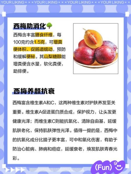 西梅的营养价值与功效_西梅的作用有哪些-第3张图片-山城妙识