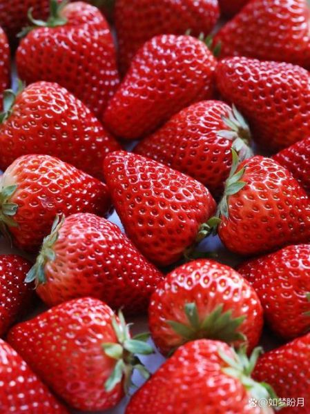 草莓图片素材哪里找_草莓高清图片怎么拍-第3张图片-山城妙识 草莓图片素材哪里找_草莓高清图片怎么拍-第3张图片-山城妙识