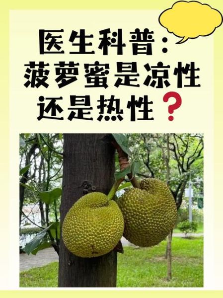 菠萝菠萝菠萝蜜污污污是什么_如何正确理解网络热梗-第1张图片-山城妙识