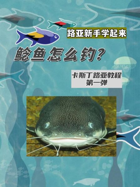 大口鲶鱼怎么钓_大口鲶鱼钓法技巧-第1张图片-山城妙识