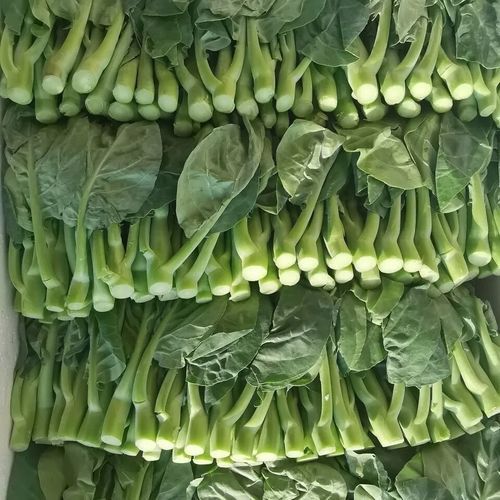 菜心和芥蓝的区别_哪个更好吃-第2张图片-山城妙识