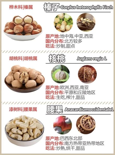 坚果包括哪些果实_常见坚果种类大全-第3张图片-山城妙识